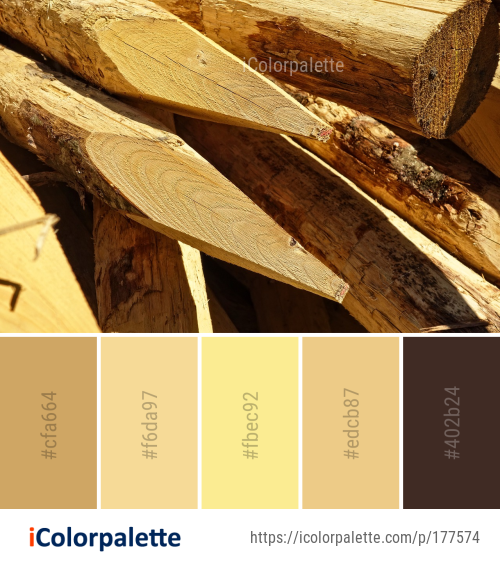 Color Palette Ideas from Wood Beam Lumber Image | iColorpalette