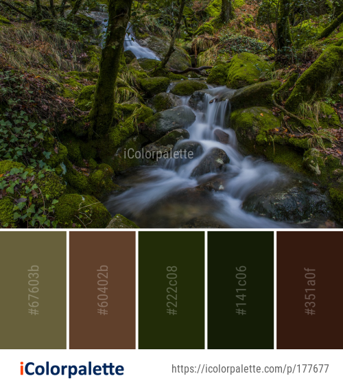 Color Palette Ideas from Water Nature Stream Image | iColorpalette