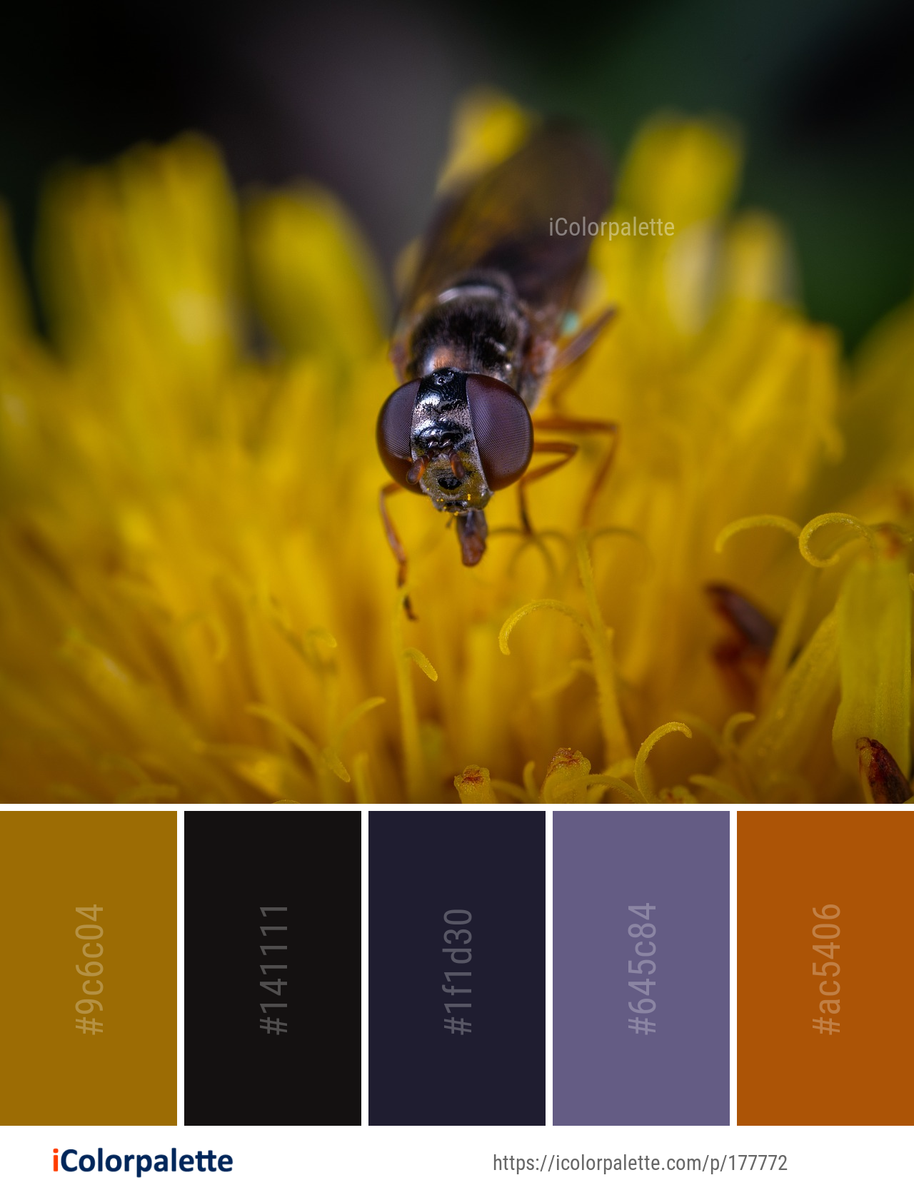 Color Palette Ideas from Insect Bee Yellow Image | iColorpalette