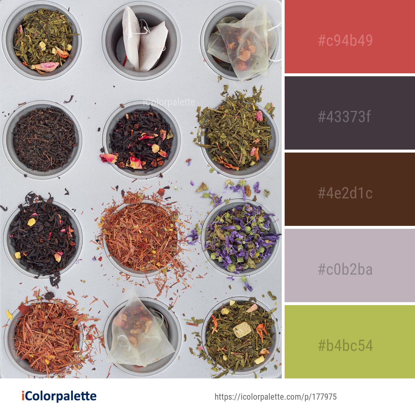 22+ Spice Color Palette ideas in 2025 | iColorPalette