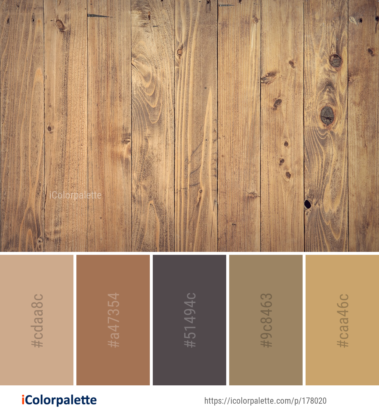 Color Palette Ideas from Wood Stain Plank Image | iColorpalette