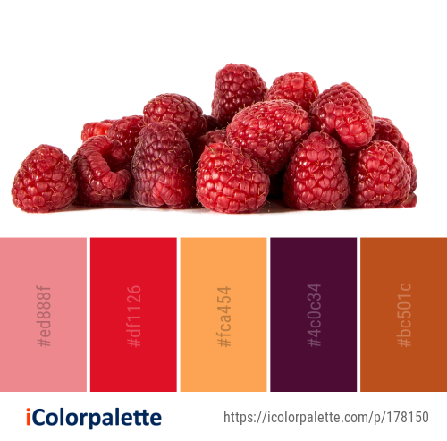 Raspberry Color Palette Color Inspiration: Summer Berry Picking