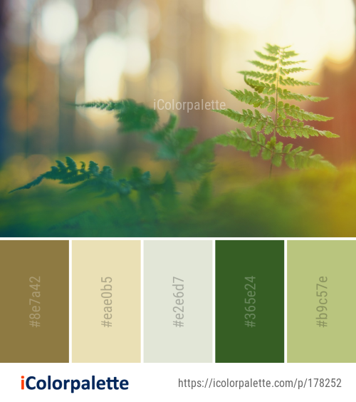 Color Palette Ideas from Green Nature Leaf Image | iColorPalette