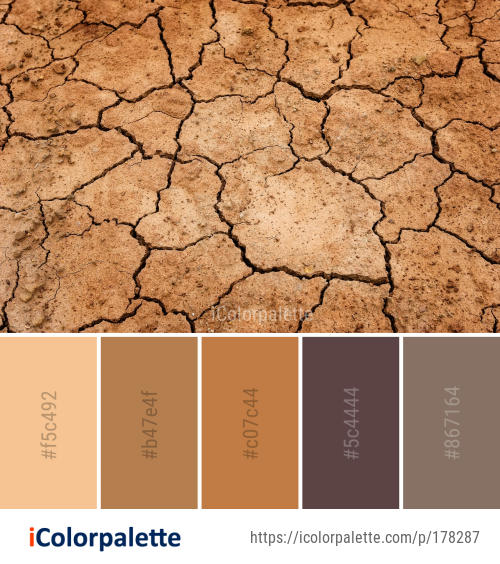 Color Palette Ideas from Drought Soil Pattern Image | iColorpalette