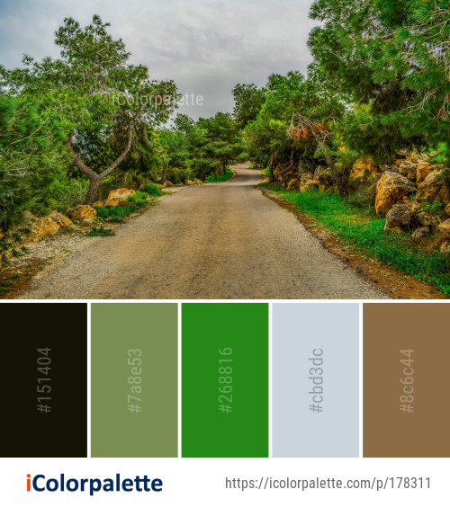 Color Palette Ideas from Road Vegetation Nature Image | iColorpalette