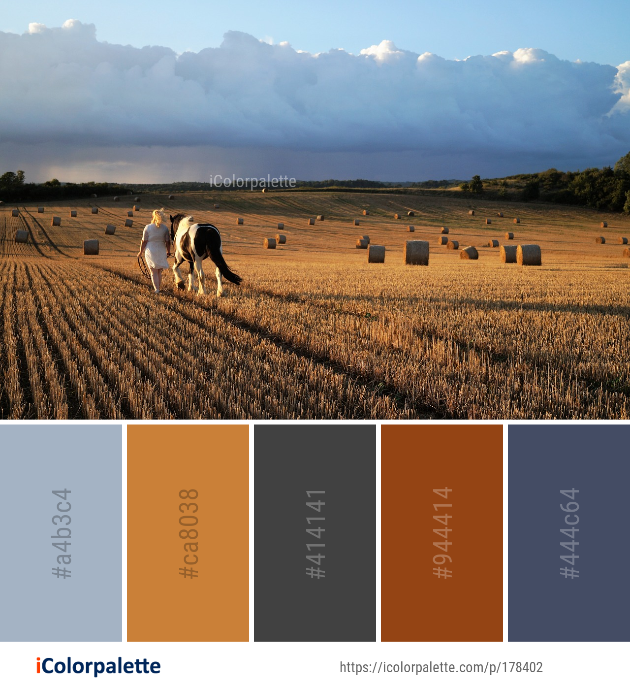 23+ Harvest Color Palette ideas in 2025 | iColorPalette
