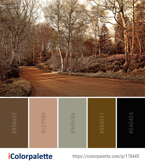 Color Palette Ideas from Nature Tree Path Image | iColorPalette