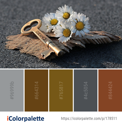 65+ Metal Color Palette ideas in 2025 | iColorPalette