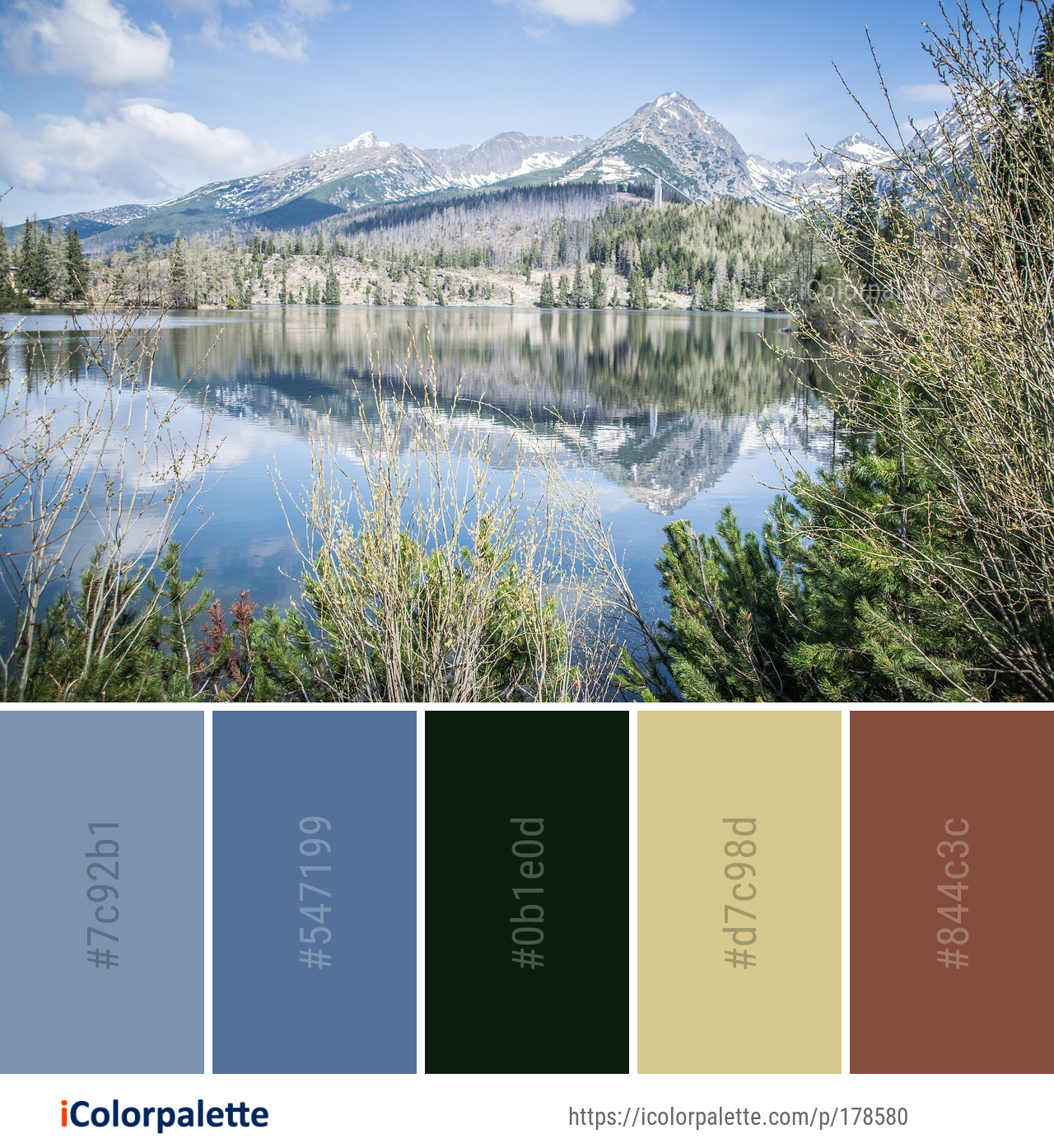 Color Palette Ideas from Reflection Nature Wilderness Image | iColorpalette
