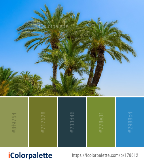 Color Palette Ideas from Vegetation Date Palm Tree Image | iColorpalette