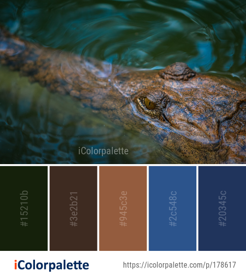Color Palette Ideas from Water Crocodilia Alligator Image | iColorpalette