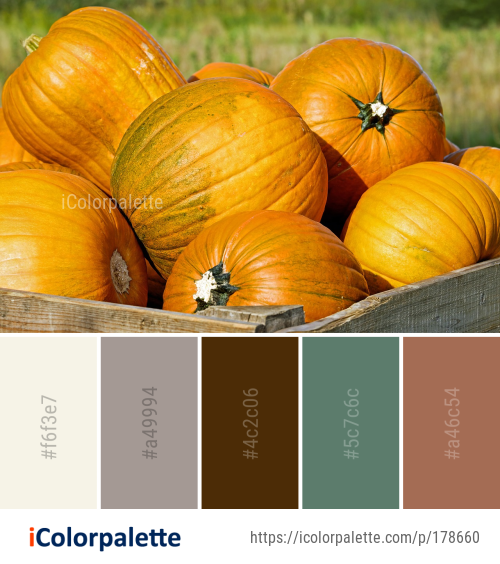 20+ Pumpkin Color Palette ideas in 2025 | iColorPalette
