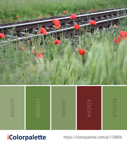 Color Palette Ideas from Flower Field Plant Image | iColorpalette