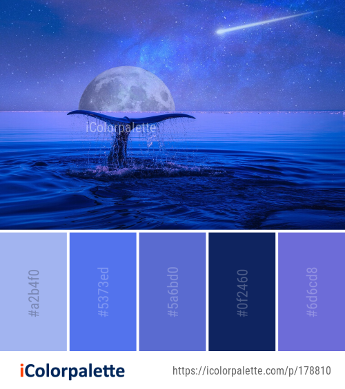 Color Palette Ideas from Nature Water Sea Image | iColorpalette