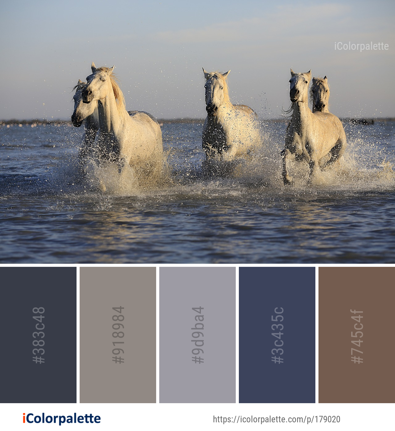 Color Palette Ideas from Horse Water Like Mammal Image | iColorpalette