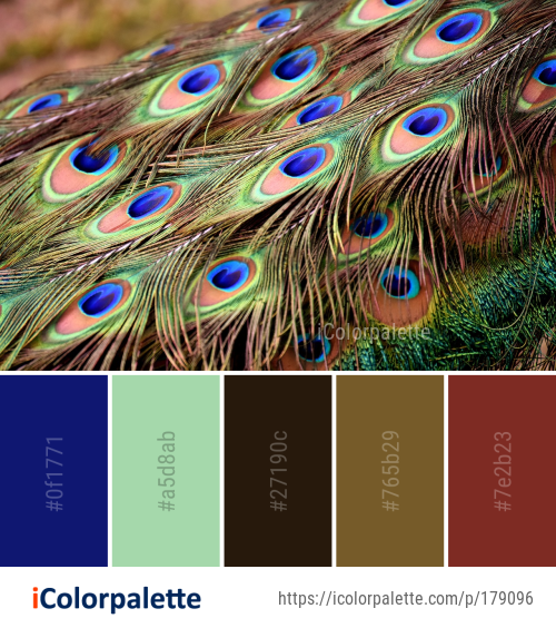 68 Peafowl Color Palette ideas in 2025 | iColorpalette