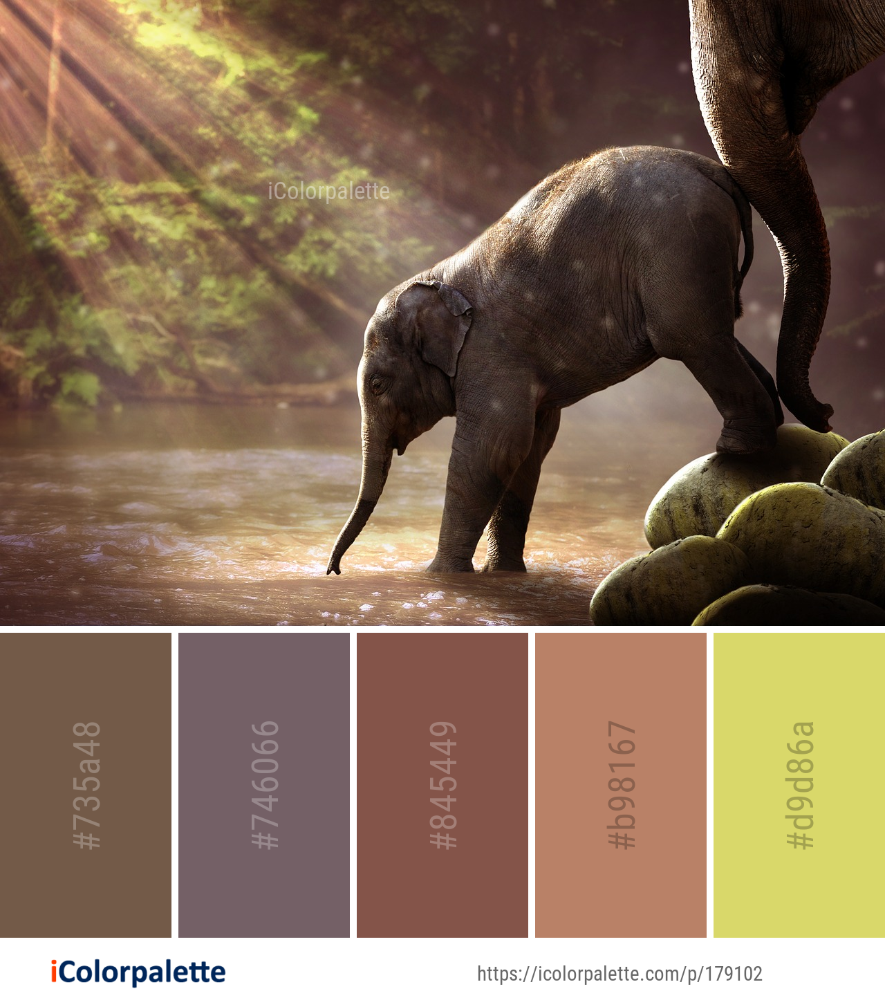 Color Palette Ideas from Elephant Elephants And Mammoths Wildlife Image ...