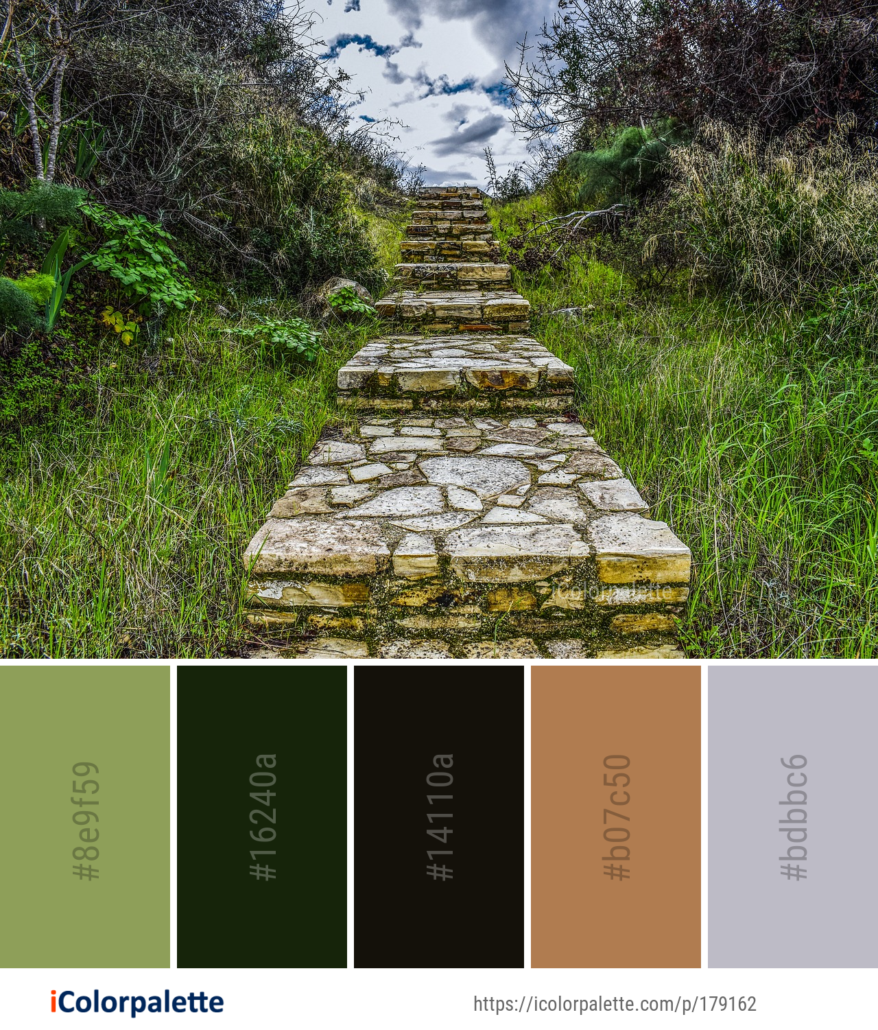 Color Palette Ideas from Vegetation Nature Reserve Path Image ...