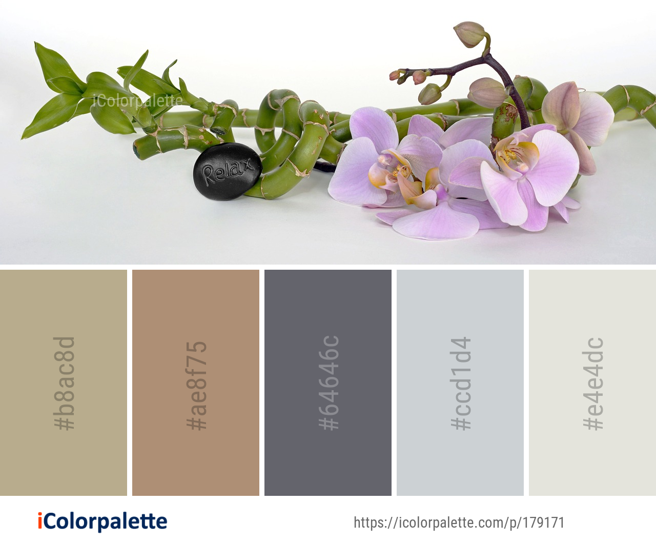 Color Palette Ideas from Flower Plant Flora Image | iColorpalette