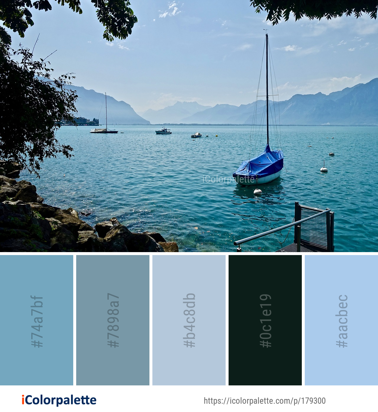 Color Palette Ideas from Water Sea Nature Image | iColorpalette
