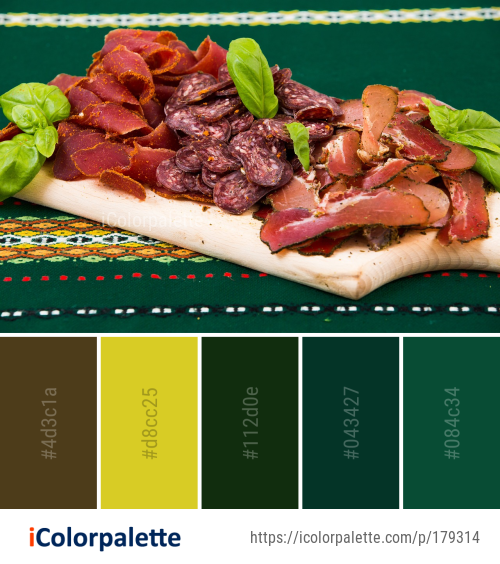 Color Palette Ideas from Meat Food Dish Image | iColorpalette