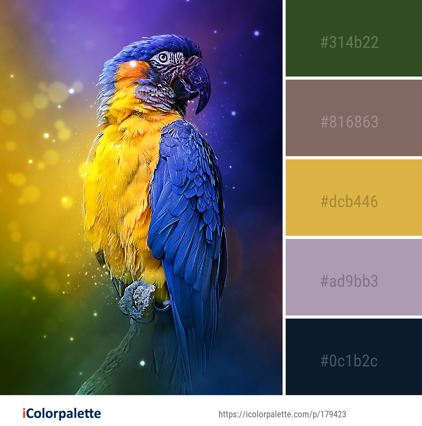 Color Palette Ideas from Bird Parrot Macaw Image | iColorpalette