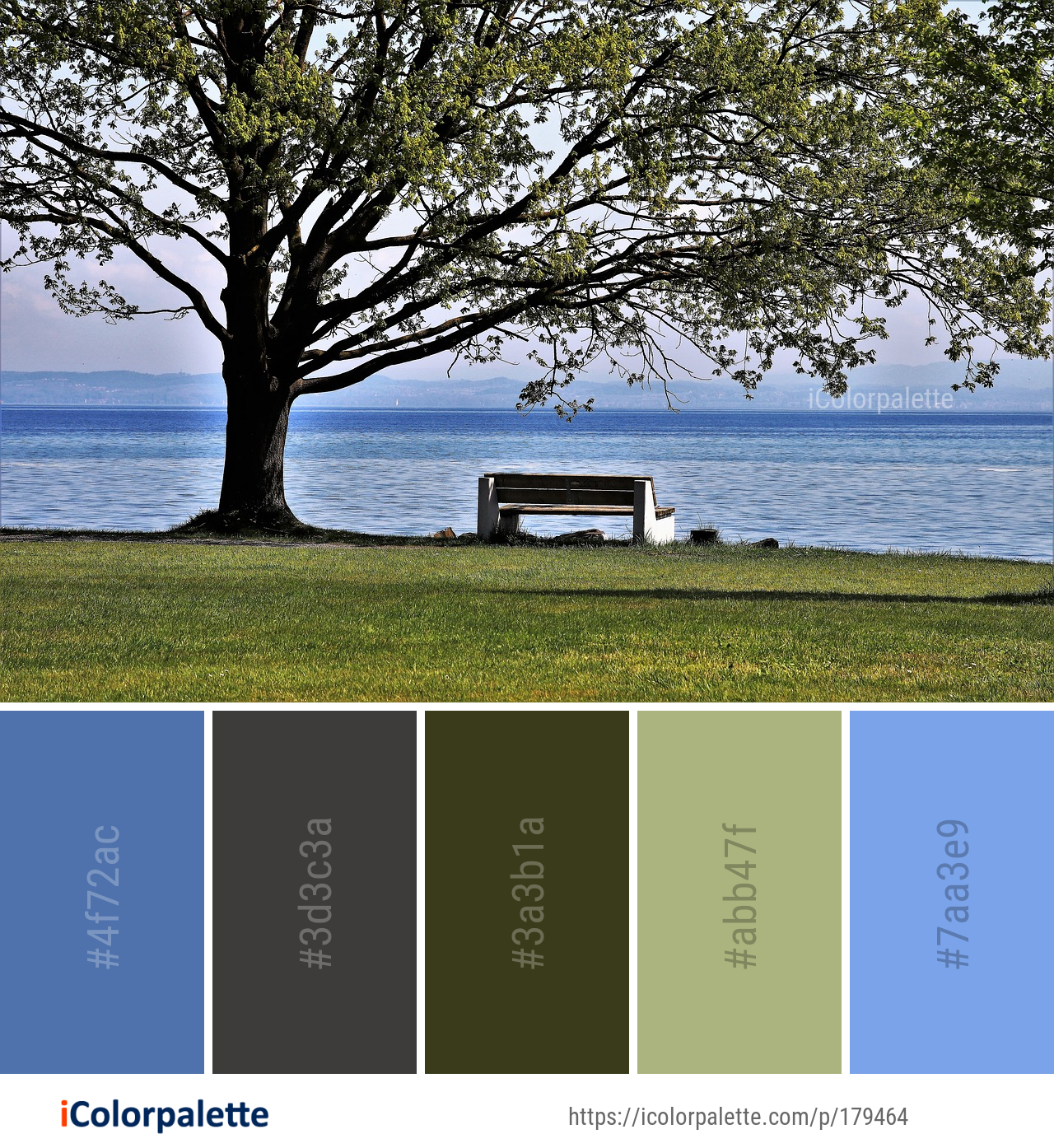 Color Palette Ideas from Tree Water Woody Plant Image | iColorpalette