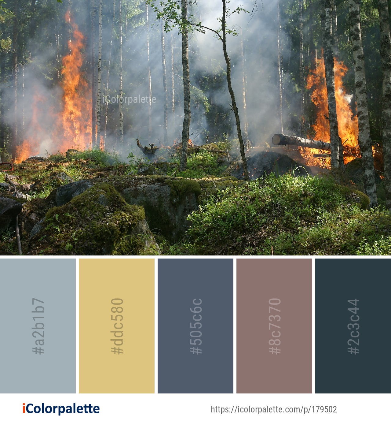 Color Palette Ideas from Fire Bonfire Campfire Image | iColorpalette