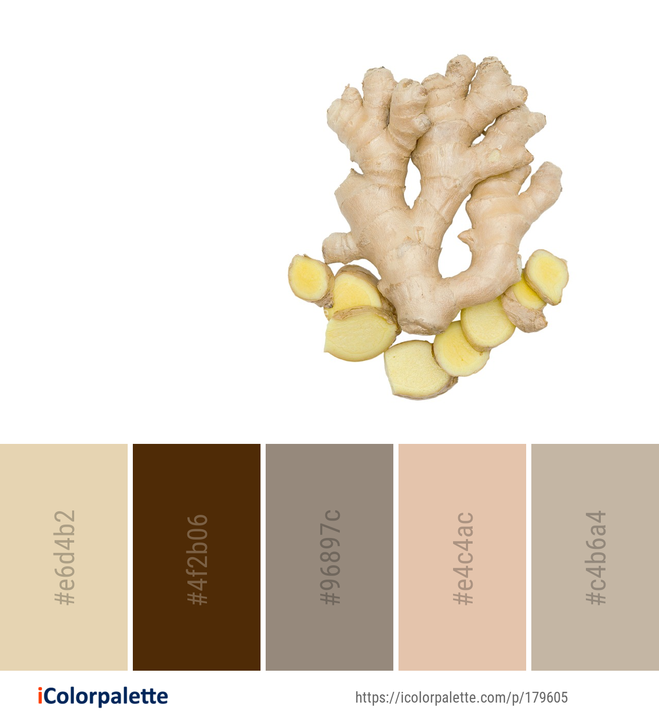 Color Palette Ideas from Hand Finger Produce Image | iColorpalette