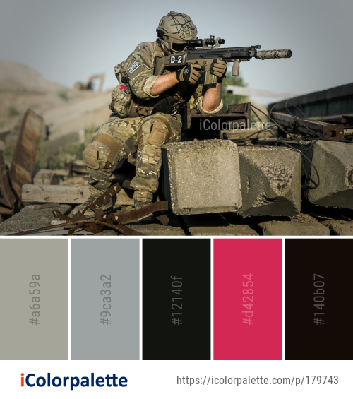 5 Army Color Palette ideas in 2025 | iColorpalette
