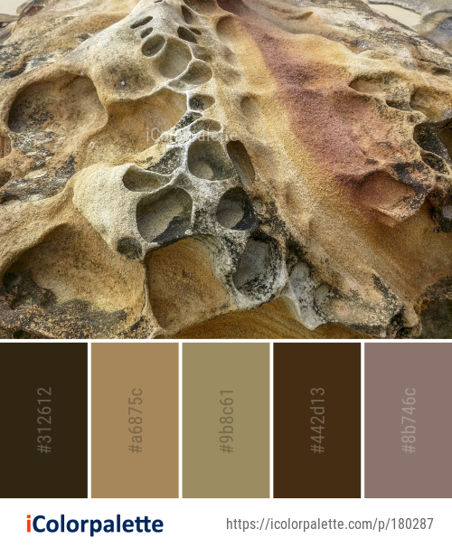 Color Palette Ideas from Rock Geology Formation Image | iColorpalette