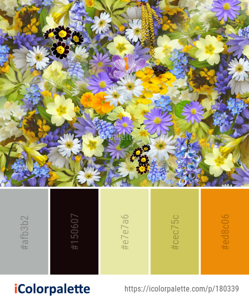 Color Palette Ideas from Flower Plant Wildflower Image | iColorpalette