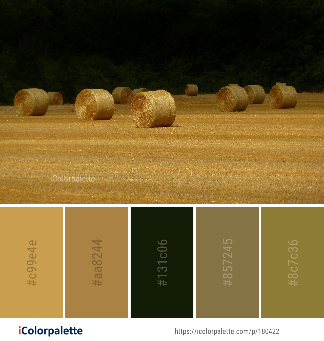 23 Harvest Color Palette ideas in 2025 | iColorpalette