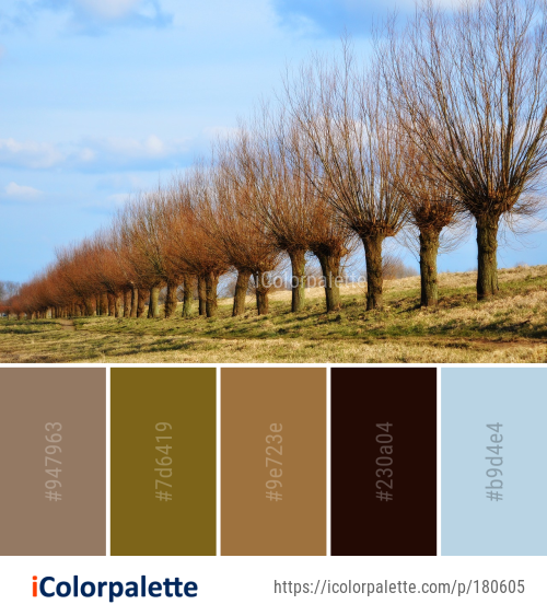 Color Palette Ideas from Sky Tree Field Image | iColorpalette