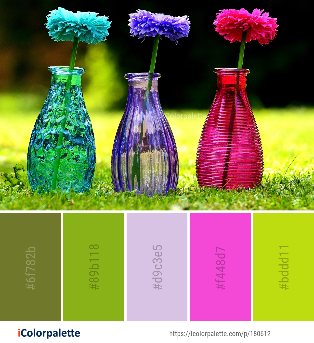 Color Palette Ideas from Flower Vase Purple Image | iColorpalette