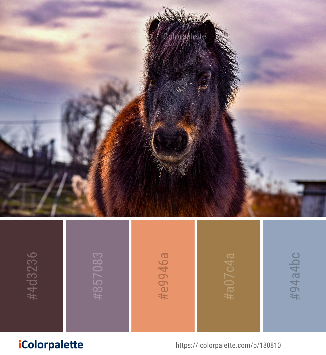 31 Pony Color Palette ideas in 2025 | iColorpalette