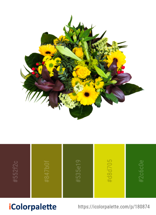 Color Palette Ideas from Flower Bouquet Yellow Image | iColorpalette