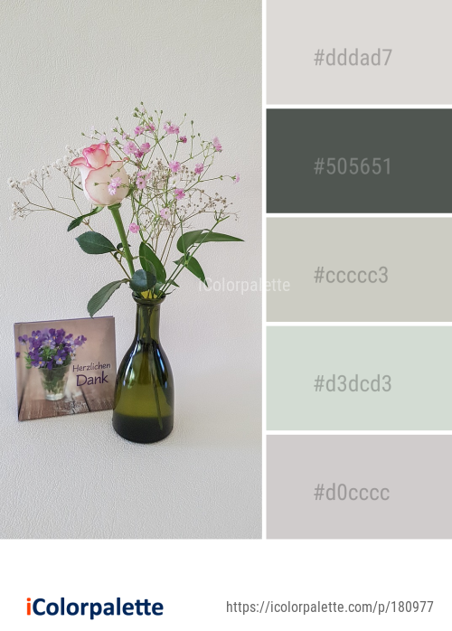 Color Palette Ideas from Flower Vase Pink Image | iColorpalette