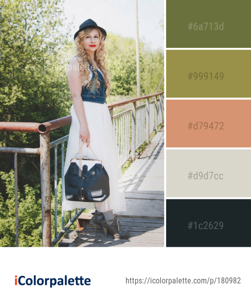 Color Palette Ideas from Clothing Photograph Dress Image | iColorpalette