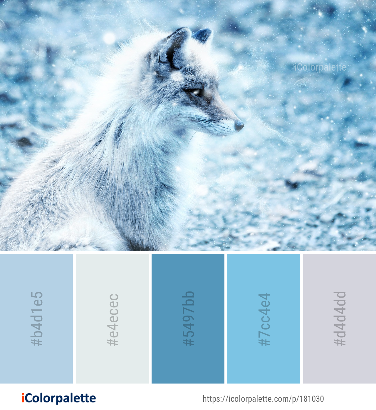 Color Palette Ideas from Wildlife Mammal Fox Image | iColorpalette