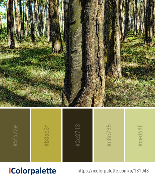 Color Palette Ideas from Woodland Tree Ecosystem Image | iColorpalette