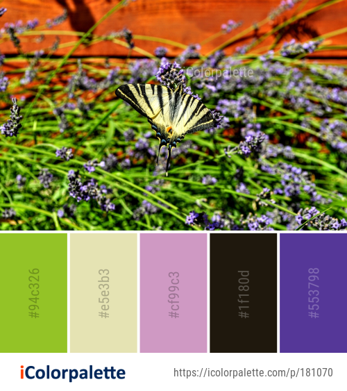 Color Palette Ideas from Butterfly Moths And Butterflies Monarch Image ...