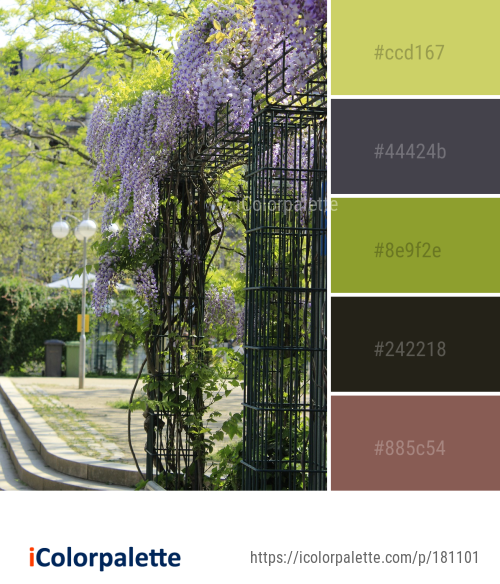 Color Palette Ideas from Plant Flower Tree Image | iColorpalette