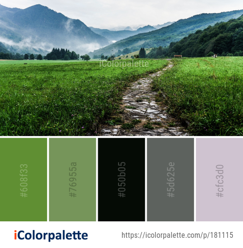 Color Palette Ideas from Grassland Nature Mountainous Landforms Image ...