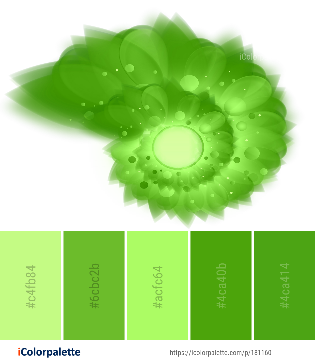 Color Palette Ideas from Green Circle Image | iColorpalette