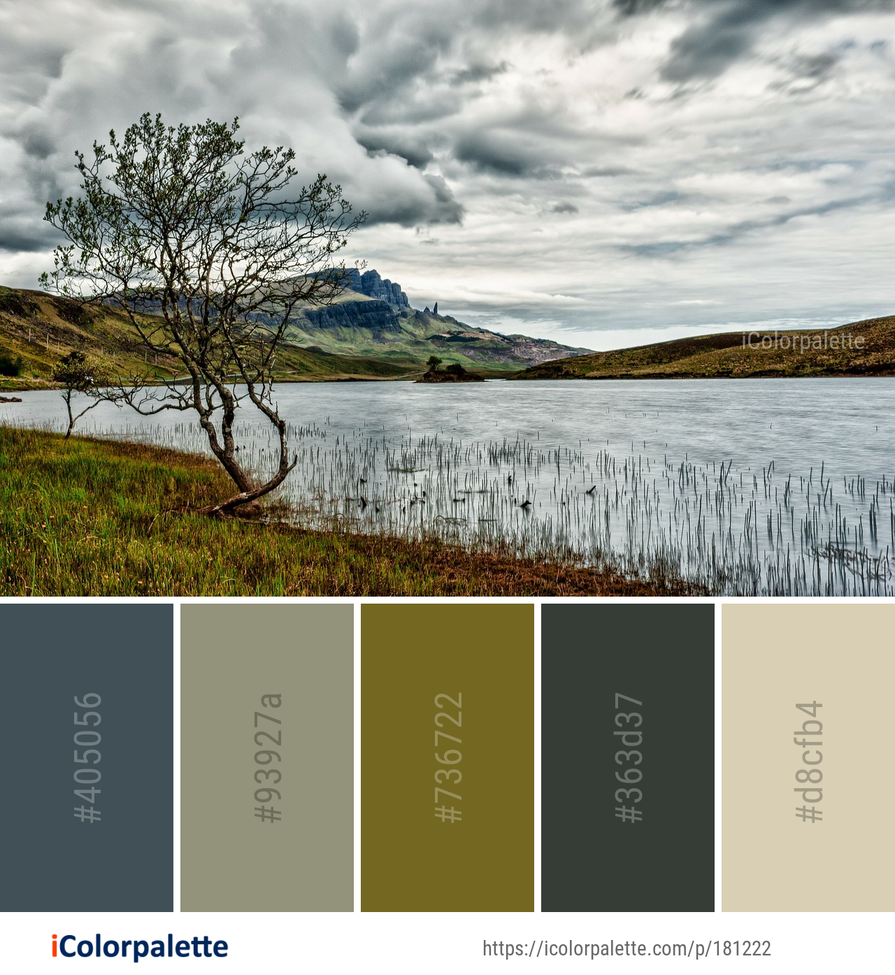 Color Palette Ideas from Cloud Reflection Water Image | iColorpalette
