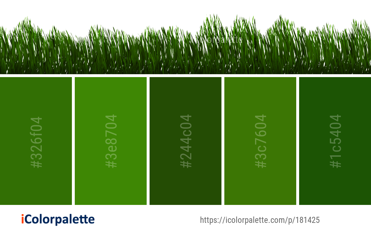Color Palette Ideas from Grass Family Wheatgrass Image | iColorpalette