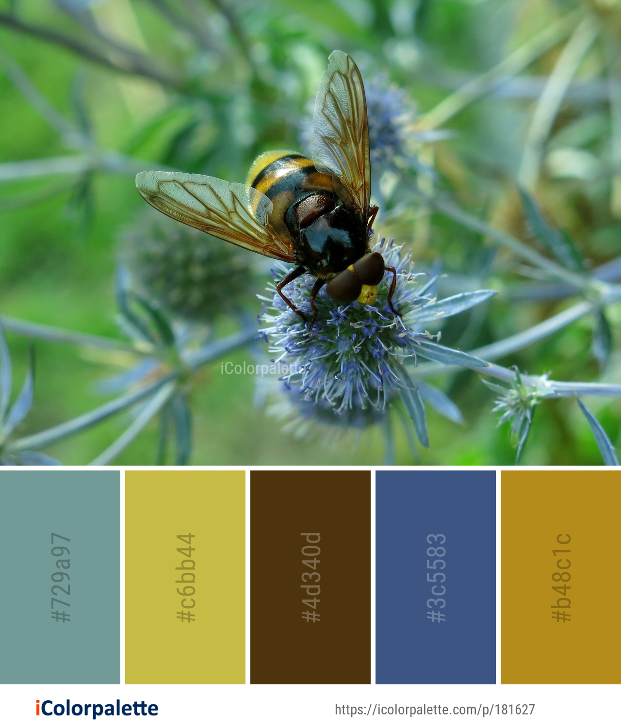 Color Palette Ideas from Insect Pest Invertebrate Image | iColorpalette