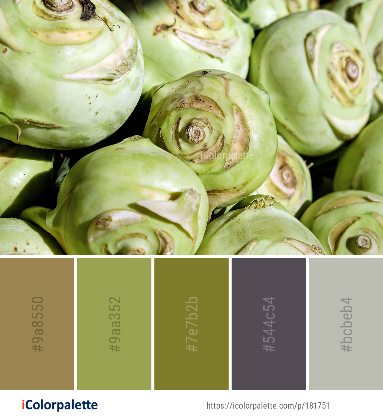 Color Palette Ideas from Vegetable Leaf Produce Image | iColorpalette