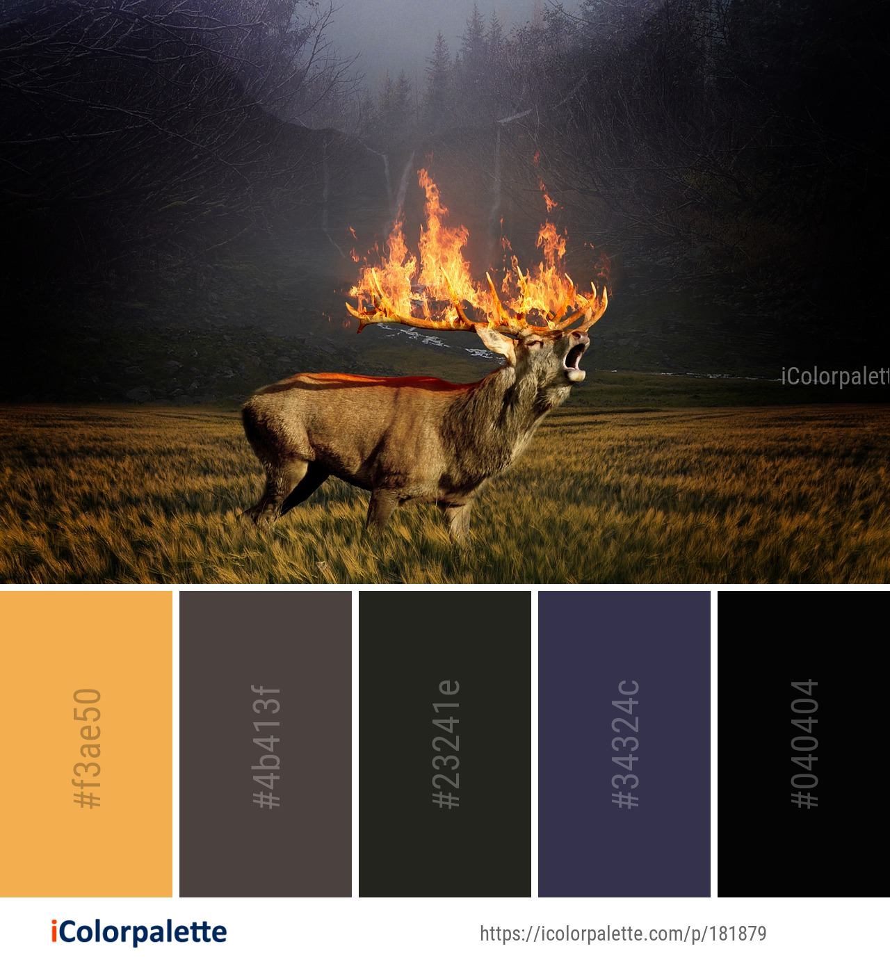 11 Bonfire Color Palette ideas in 2025 | iColorpalette